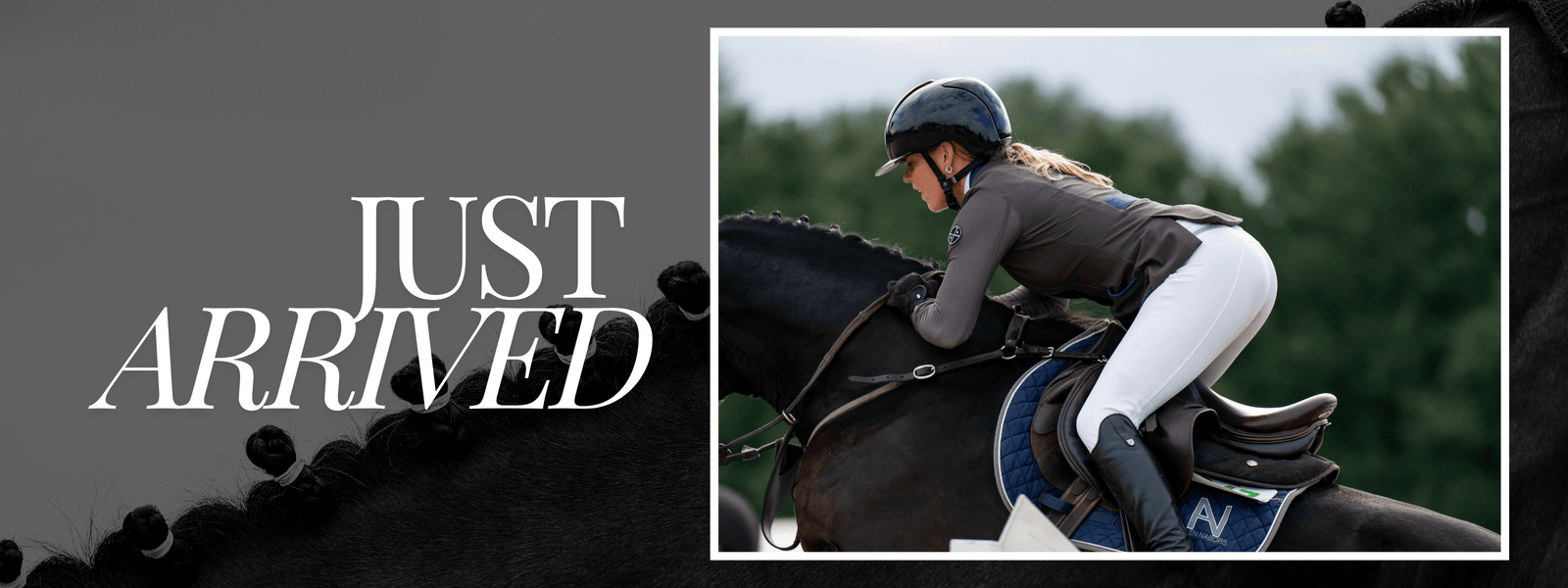 Free Ride Equestrian™️ - Top Women Riding Breeches, Leggings, Tops