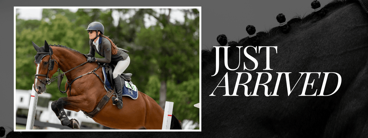 Free Ride Equestrian™️ - Top Women Riding Breeches, Leggings, Tops