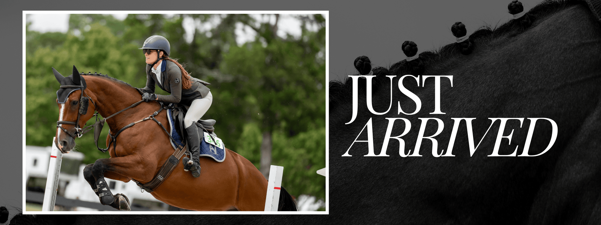 Free Ride Equestrian™️ - Top Women Riding Breeches, Leggings, Tops