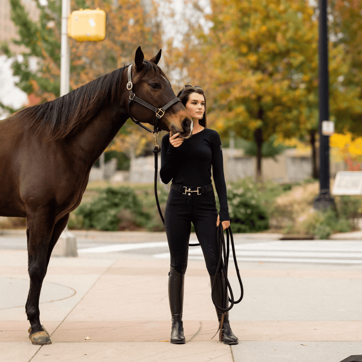 Free Ride Equestrian™️ - Top Women Riding Breeches, Leggings, Tops