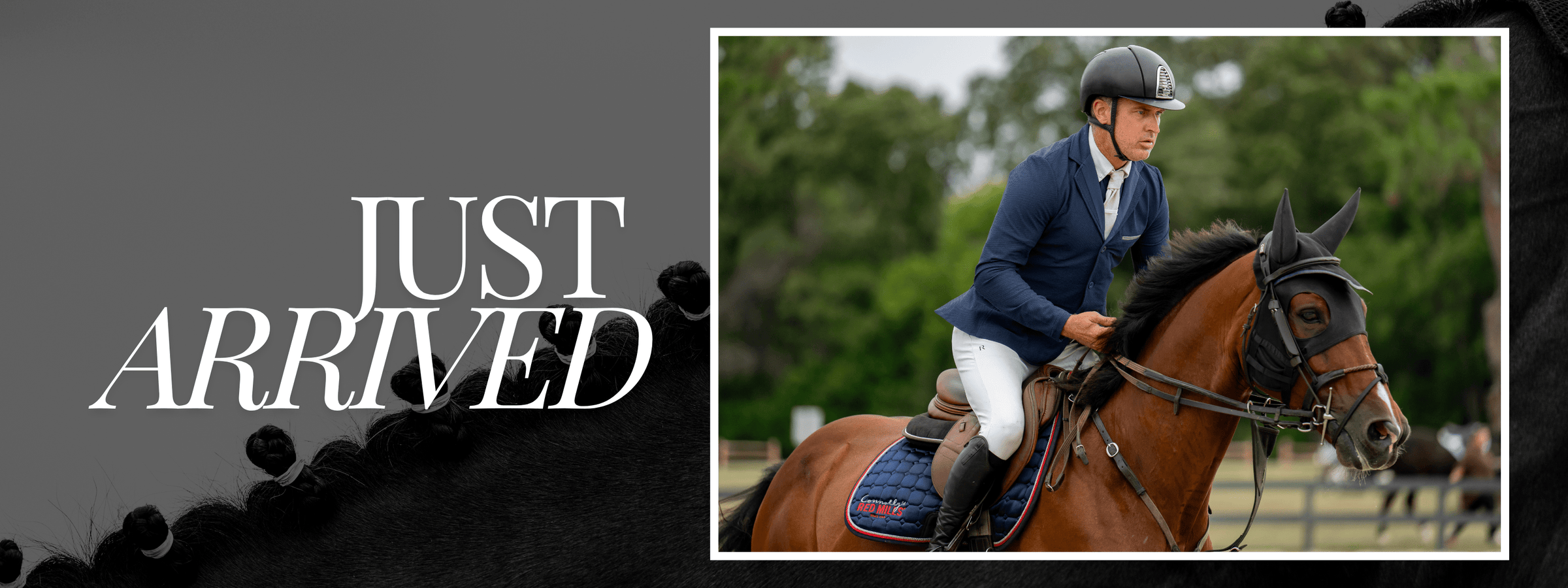 Free Ride Equestrian™️ - Top Women Riding Breeches, Leggings, Tops