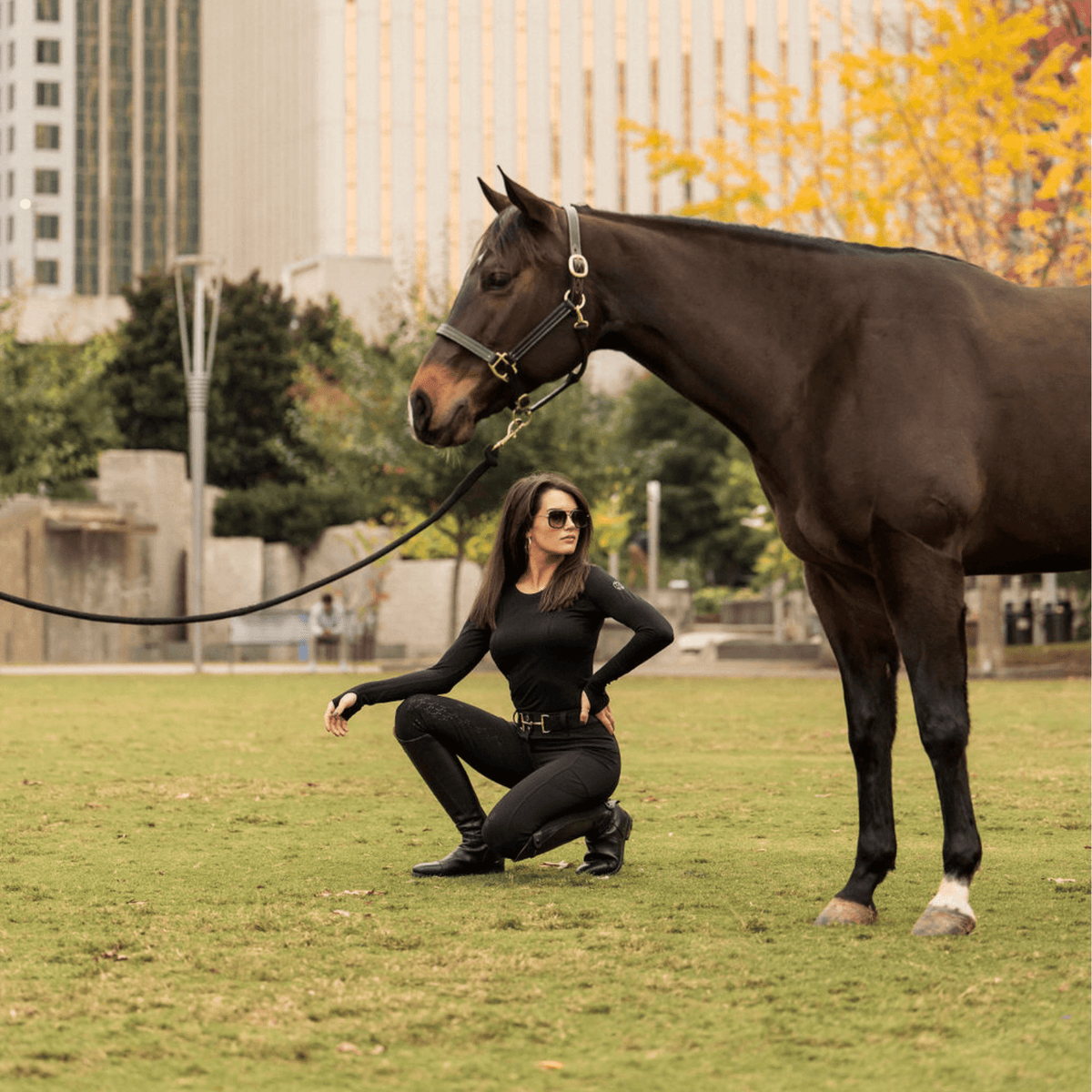 Free Ride Equestrian™️ - Top Women Riding Breeches, Leggings, Tops
