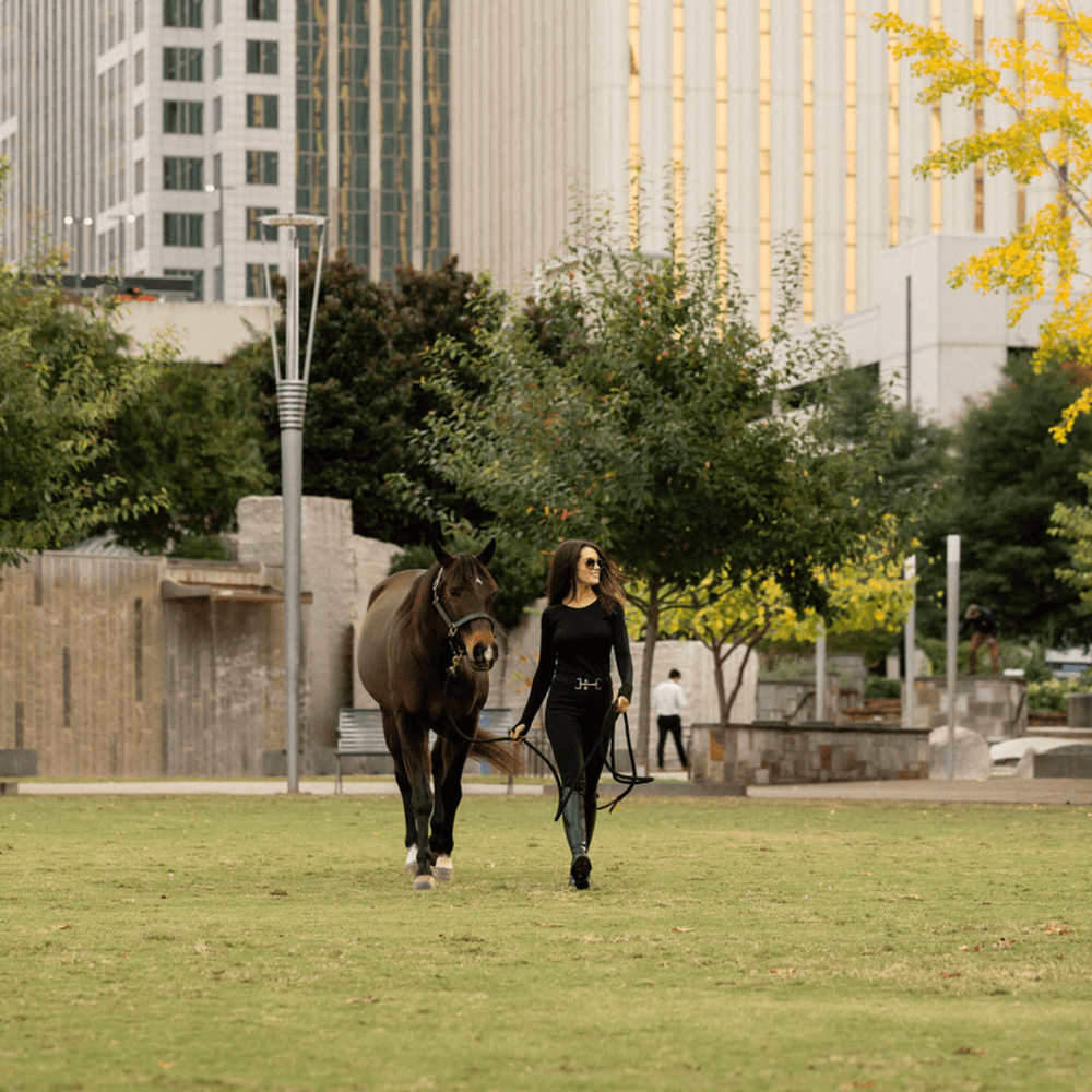 Free Ride Equestrian™️ - Top Women Riding Breeches, Leggings, Tops