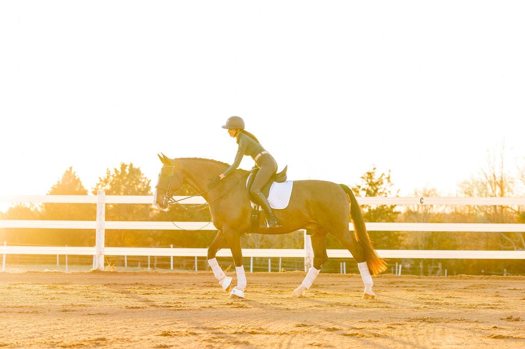 Free Ride Equestrian™️ - Top Women Riding Breeches, Leggings, Tops